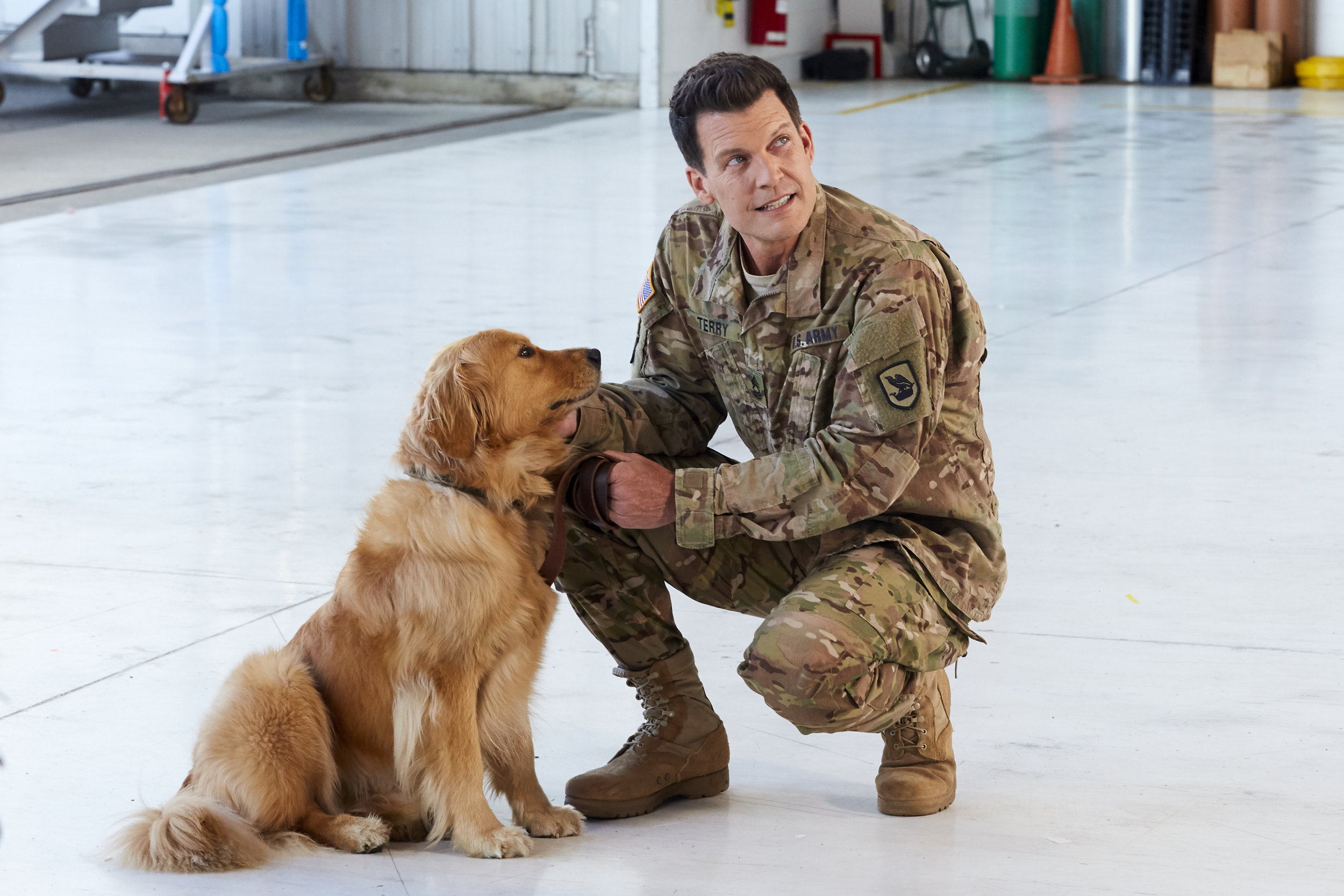 A Soldier’s Regret: The Heartbreaking Decision to Euthanize My Best ...