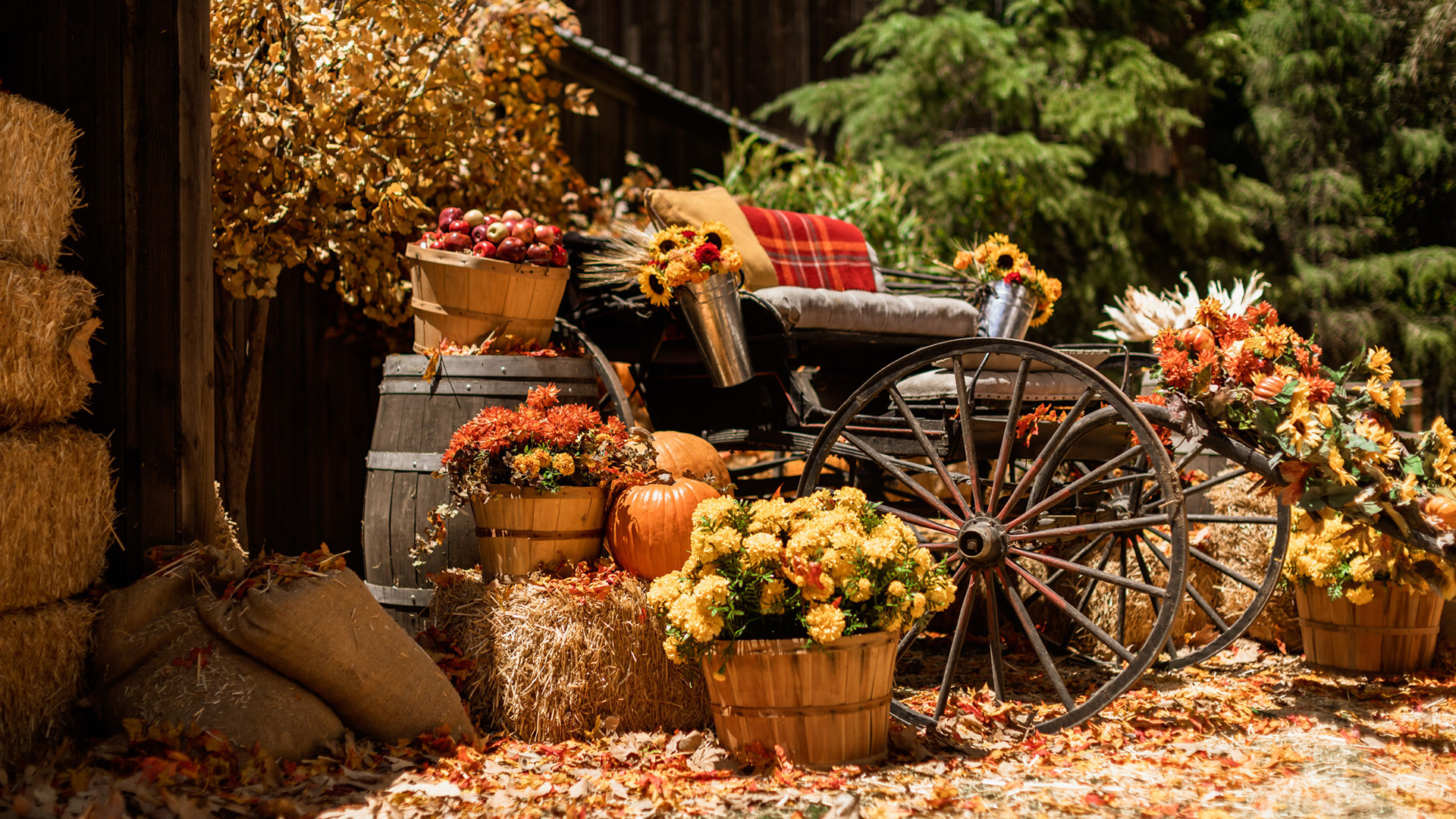 Fall Harvest Hd Wallpaper