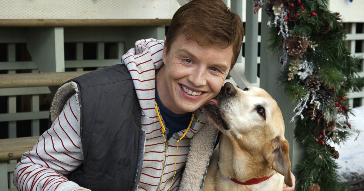 Noel Fisher On A Dog Named Christmas noel-fisher-on-a-dog-named-christmas